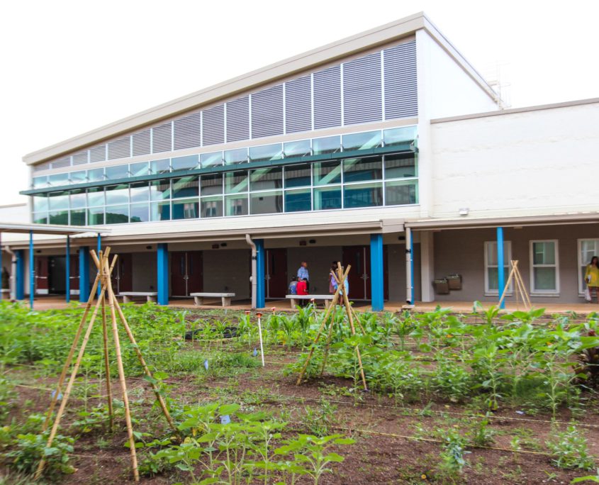 Solomon Elementary - Swinerton