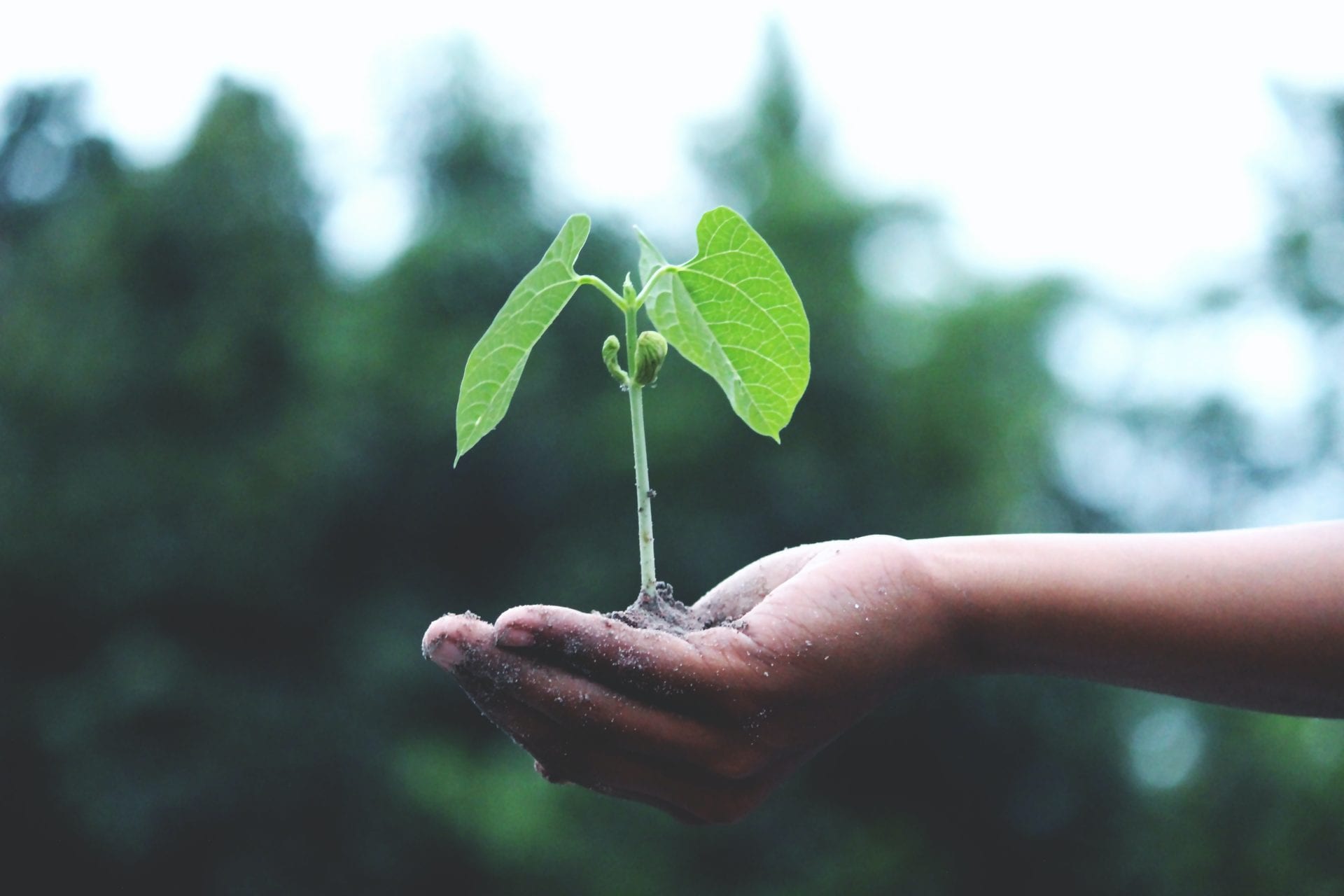 Contractors are Partners for Achieving Sustainable Development Goals ...
